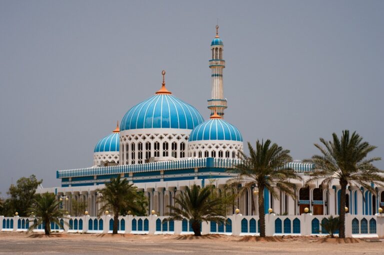 Dalma Island – Entry Fee, Timing, Camping & Location Info - Dubai City ...