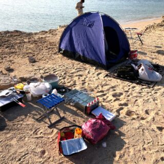 Dalma Island – Entry Fee, Timing, Camping & Location Info - Dubai City ...