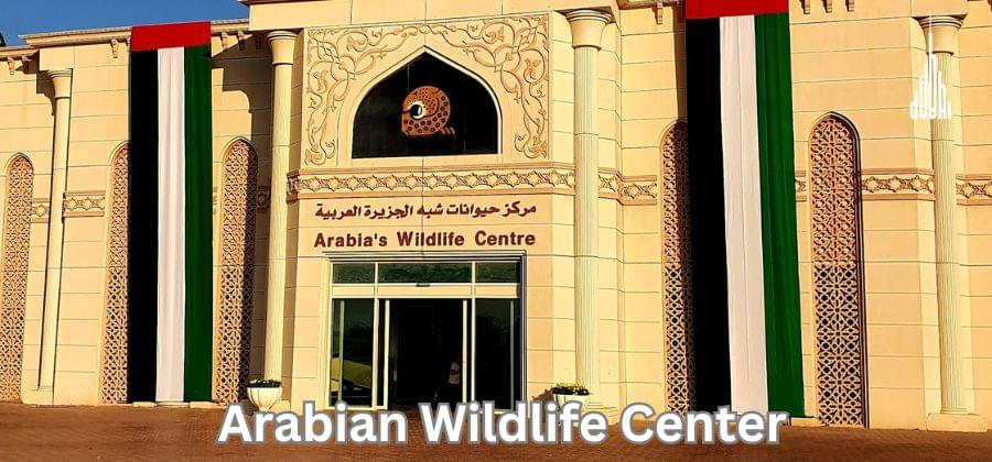 Al Marmoom Desert Reserve: Dubai’s Hidden Eco Paradise for Wildlife ...
